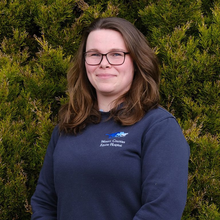 Office | Western Counties Equine Hospital