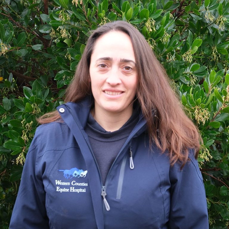 Office | Western Counties Equine Hospital